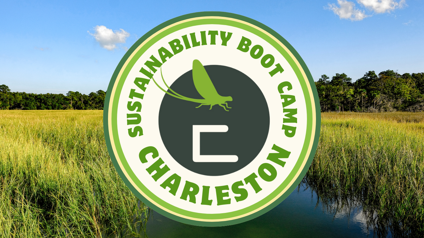 Emerger Strategies Launches 2025 Sustainability Boot Camps for ...
