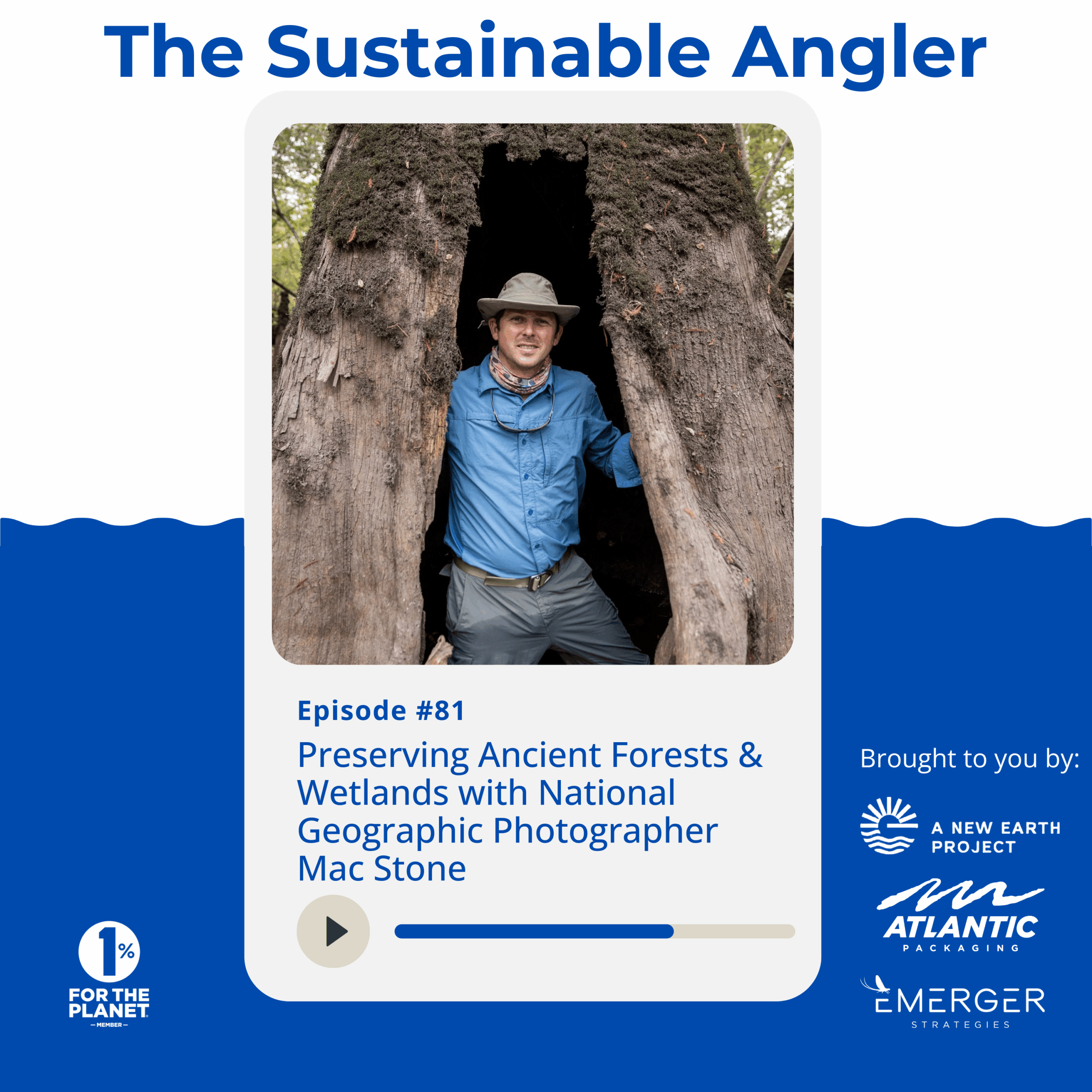 Preserving Ancient Forests & Wetlands with National Geographic ...