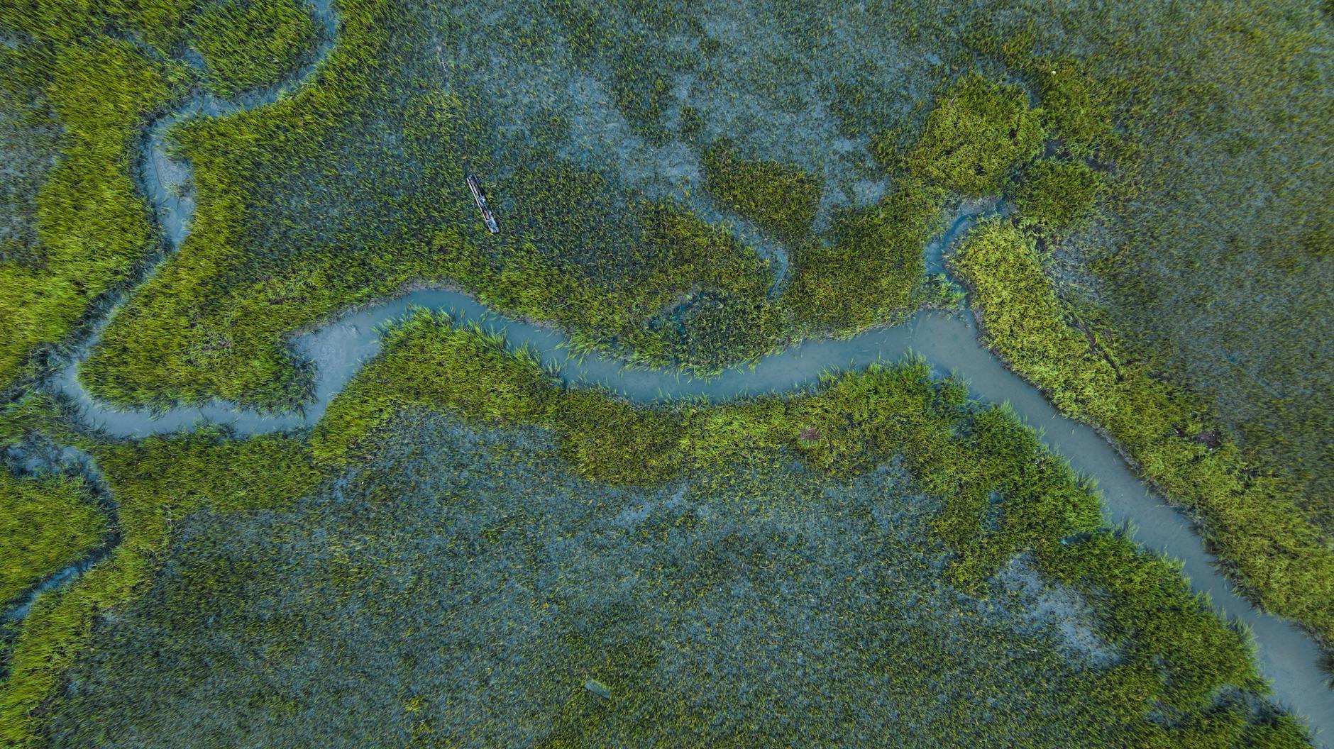 Giving Thanks to Nature & Our Community: A Reflection Inspired by the ...